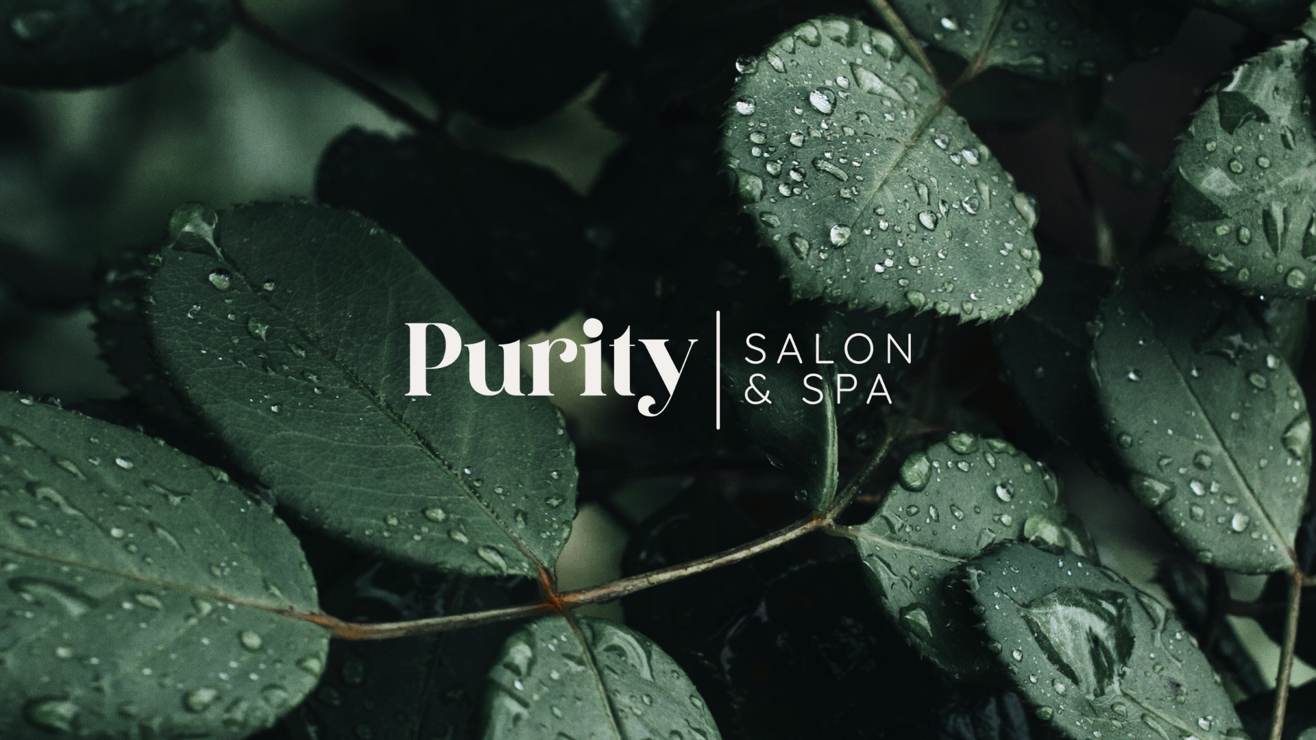 Perming – Purity